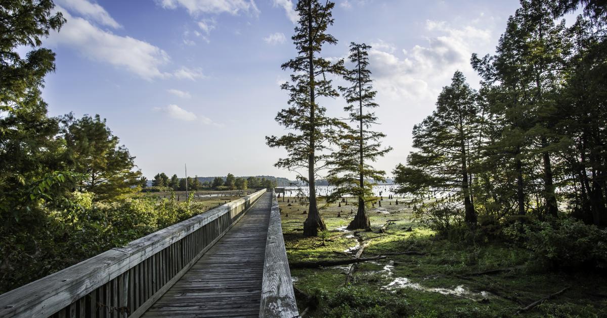 Louisiana State Park History | Louisiana State Parks - Culture ...