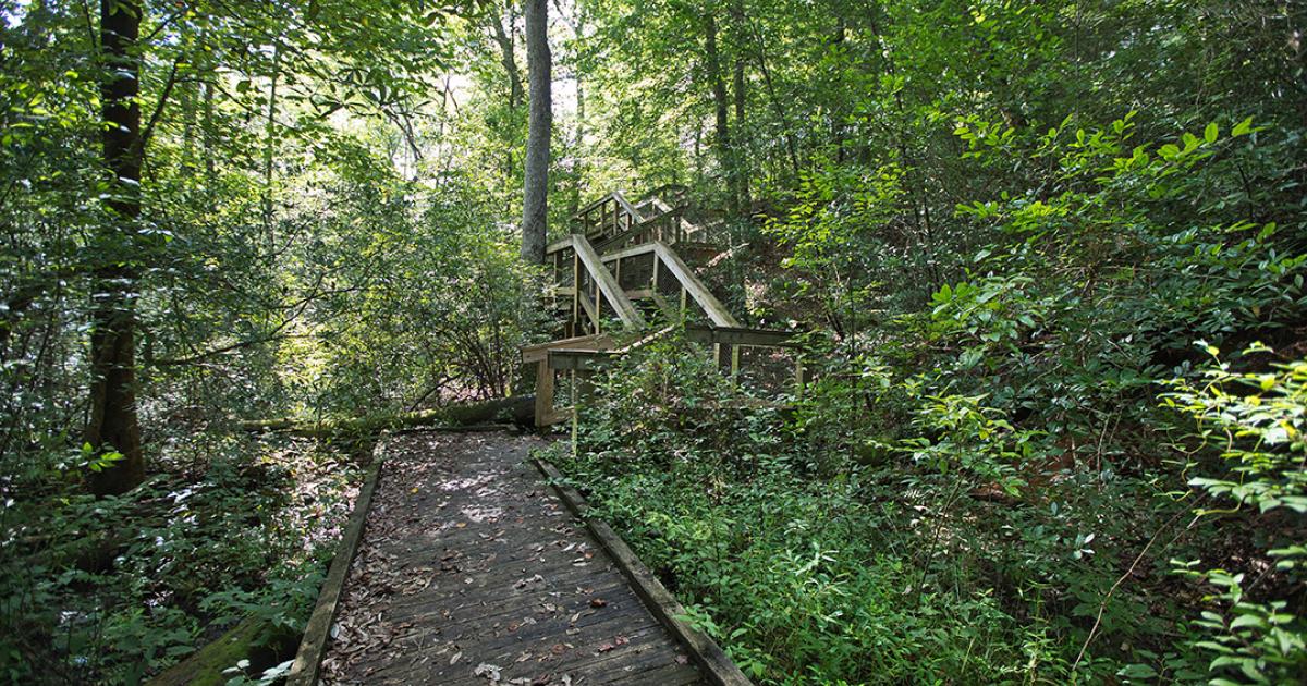 About State Parks | Louisiana State Parks - Culture, Recreation, and ...